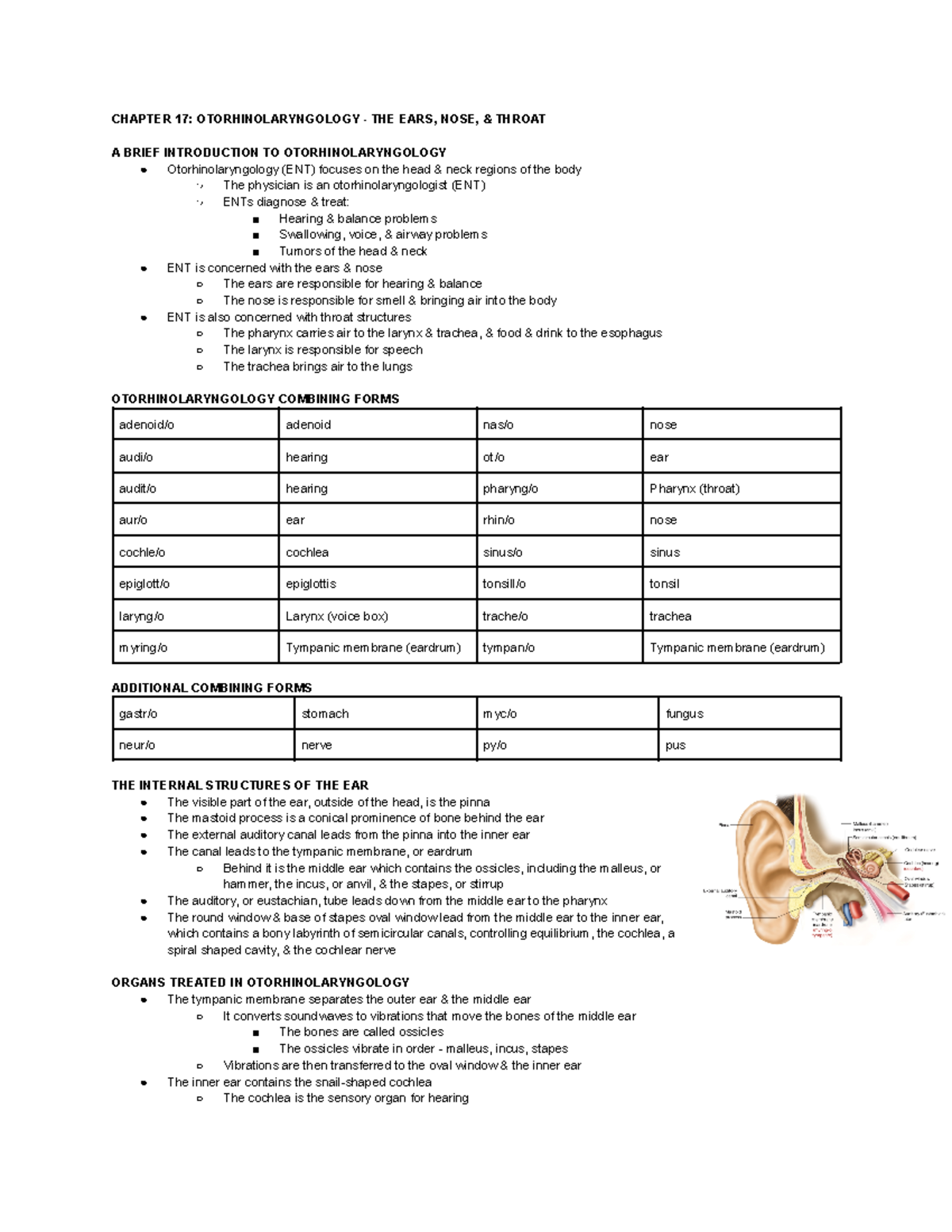 HSA 3534 Chp 17 Notes - CHAPTER 17: OTORHINOLARYNGOLOGY - THE EARS ...