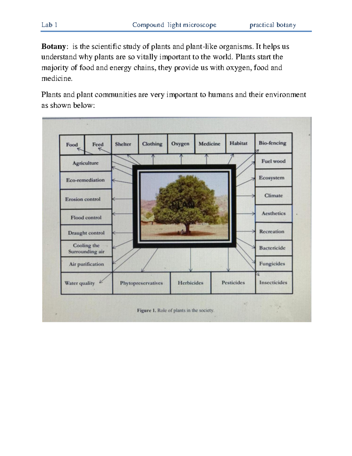 Compound light microscope - Botany: is the scientific study of plants ...