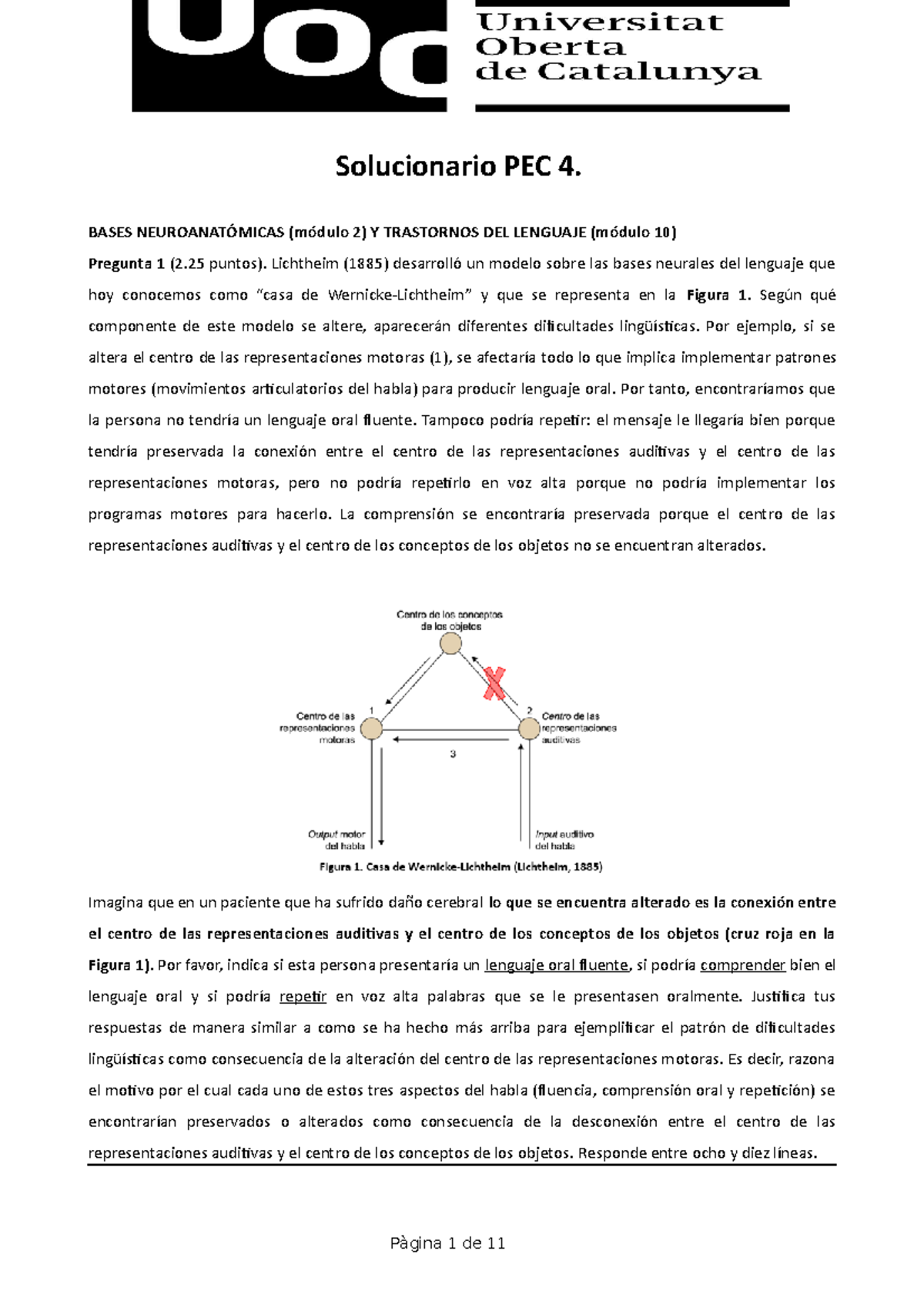 Solucionario PAC 4 1r Sem2020-21 ESP - Solucionario PEC 4. BASES NEUROANATÓMICAS (módulo 2) Y ...