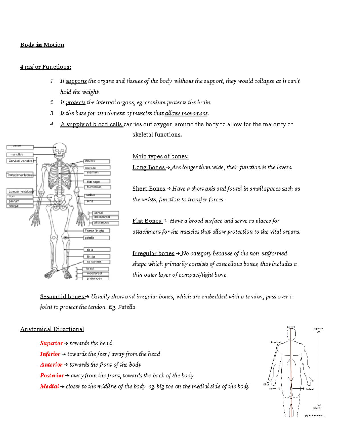 Pdhpe Body in Motion Year 11 - Body in Motion 4 major Functions: 1. It ...