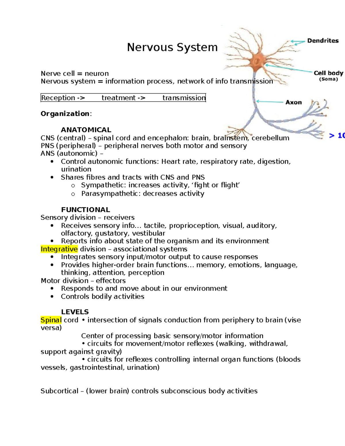 Neurology notes - N/A - Nervous System Nerve cell = neuron Nervous ...