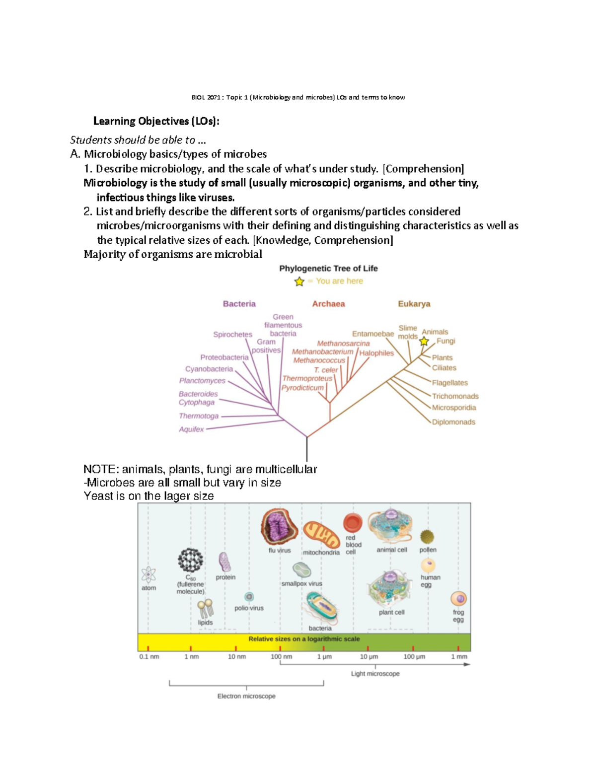 Micro bio 1 - notes for week 2 videos - BIOL 2071: Topic 1 ...