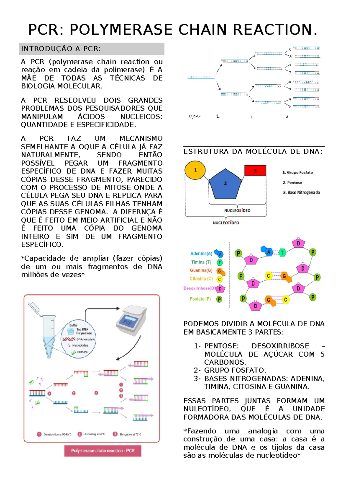 TÉCNICA PCR CONVENCIONAL E PCR EM TEMPO REAL - PCR: POLYMERASE CHAIN ...