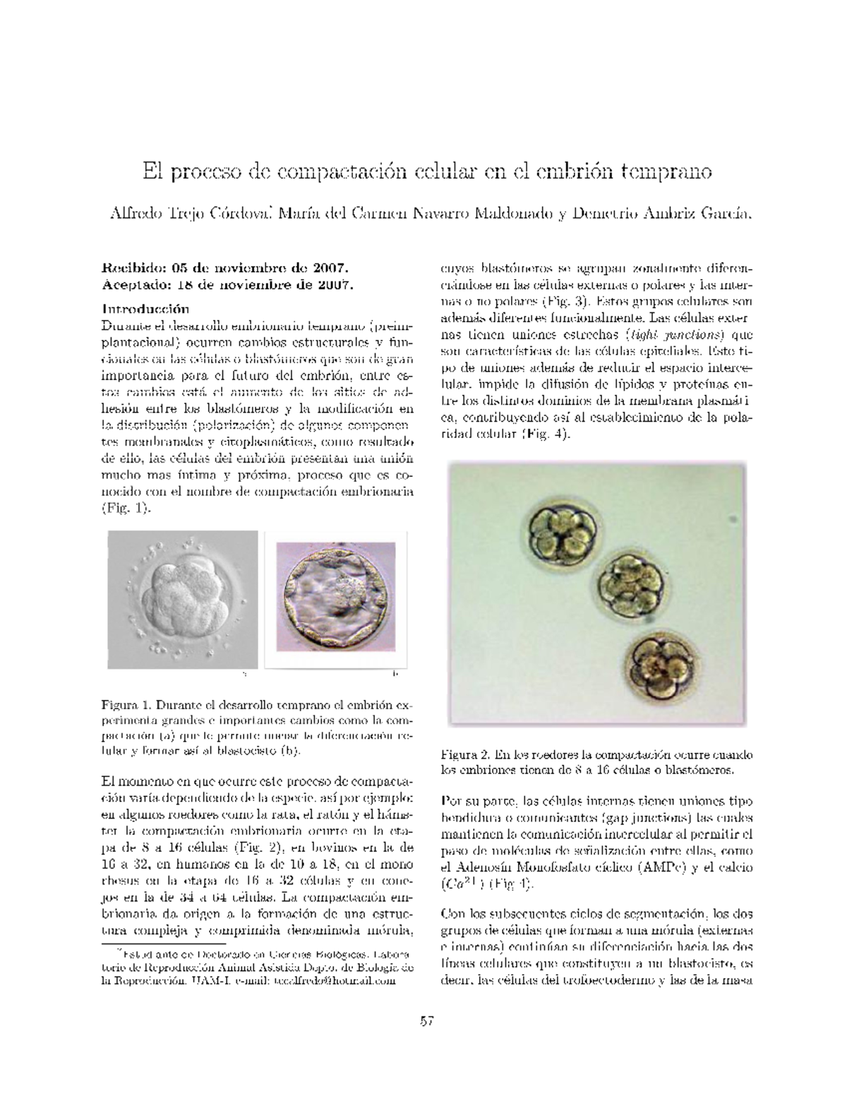 Embrion - Embriologia - Anatomía I - Studocu