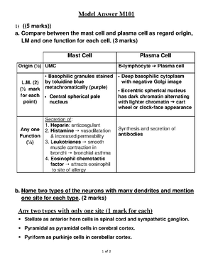 Assessment First Year Written Exam-pdf - 1 of 2 Modules 101 Short ...