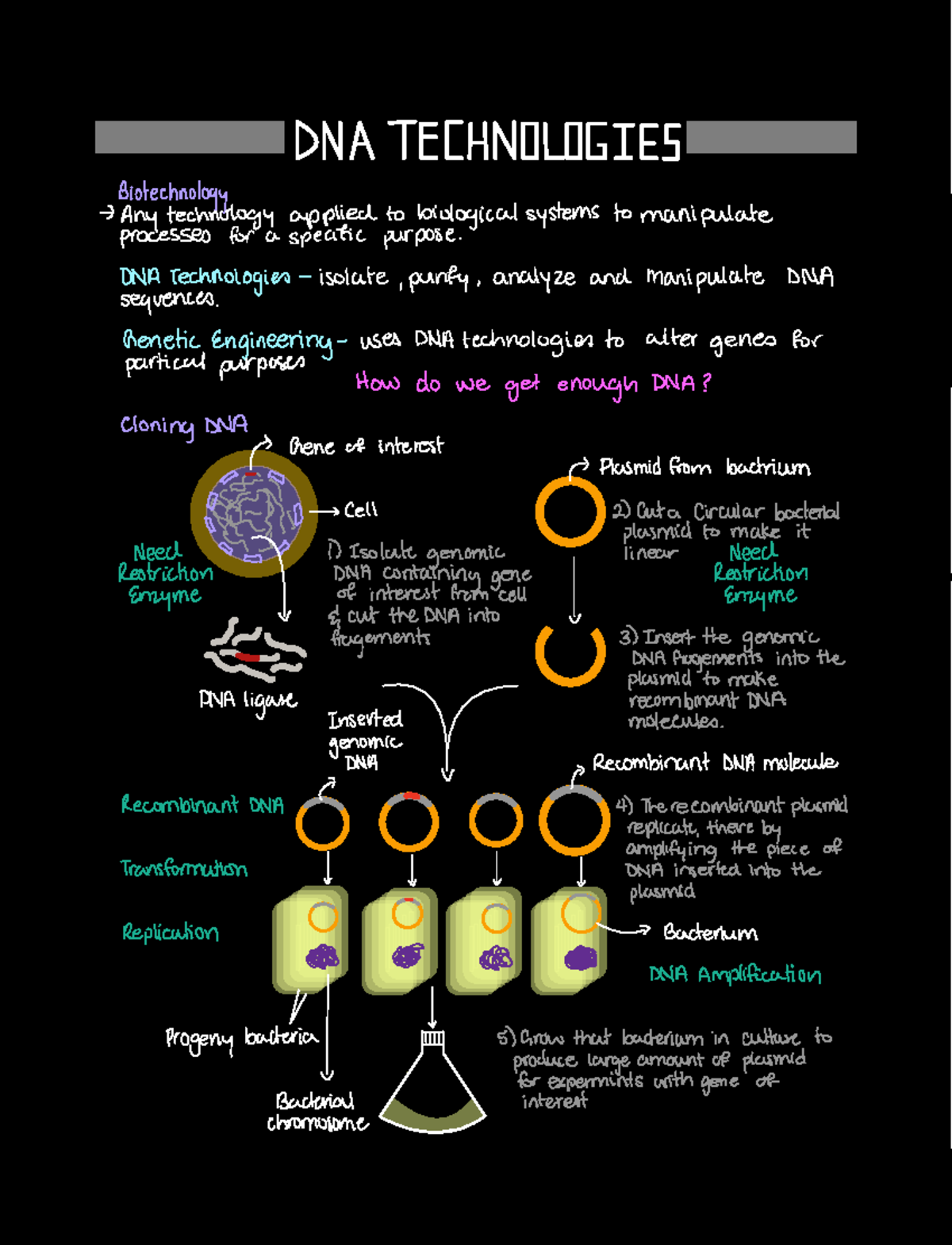DNA Technologies - Biotechnology Any technology applied to biological ...