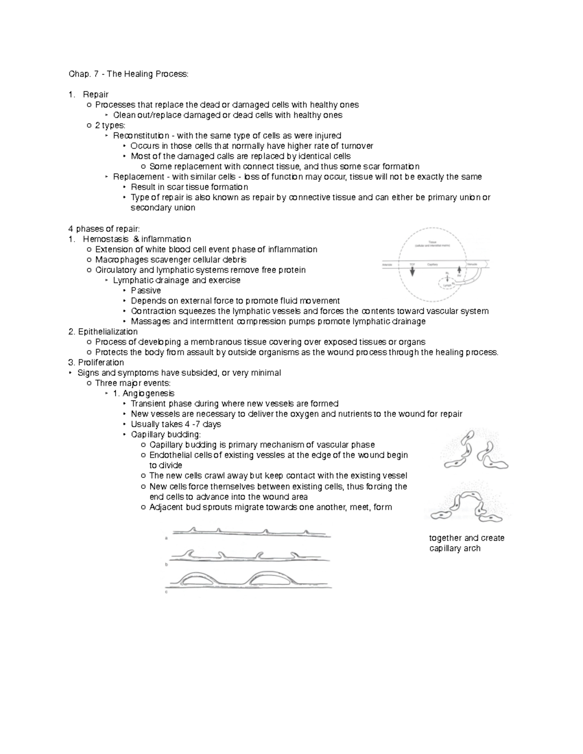 The stages of the healing process - Chap. 7 - The Healing Process ...