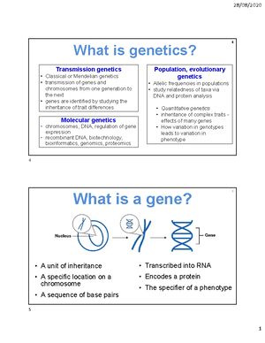 LAB3 Answer Sheet - the lab exercise - Genetics - Studocu