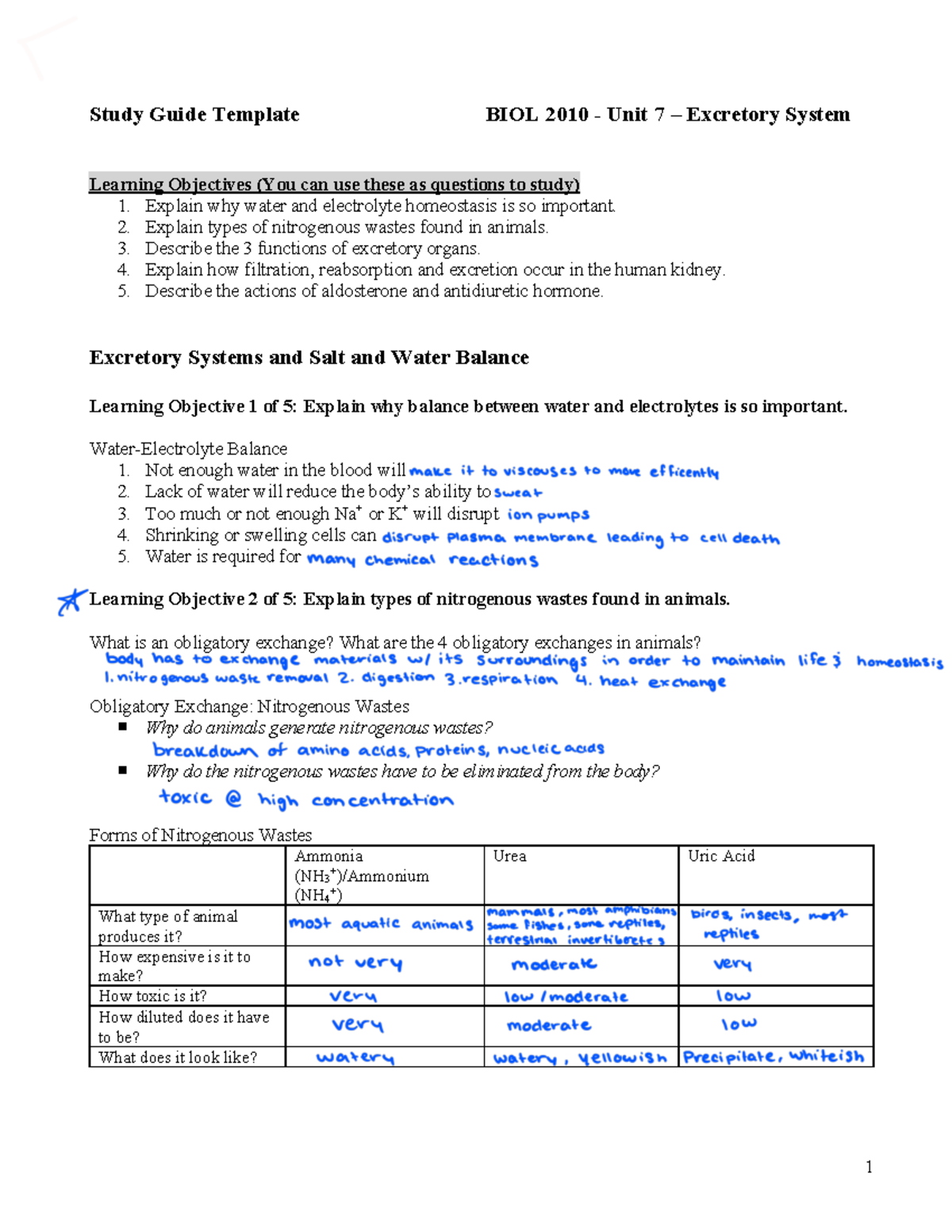 Excretory System Notes - Study Guide Template BIOL 2010 - Unit 7 ...