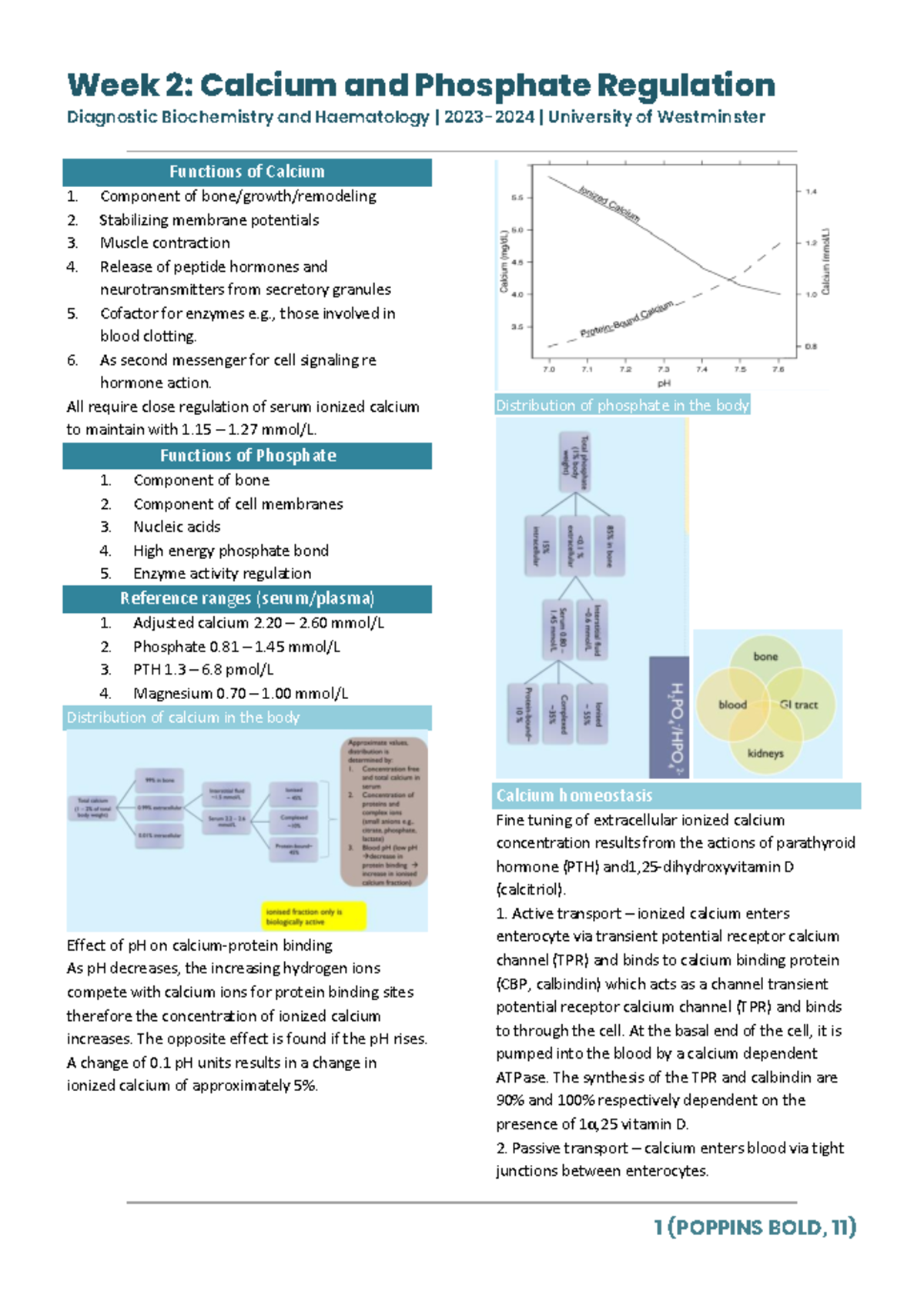 Week 2: Calcium - Week 2: Calcium and Phosphate Regulation Diagnostic ...