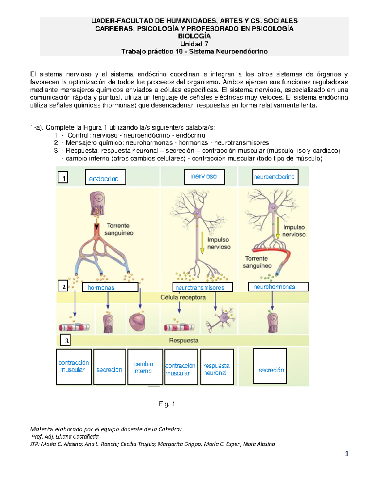 TP - Sistema neuroendócrino - Material elaborado por el equipo docente de la C·tedra: Prof. Adj ...