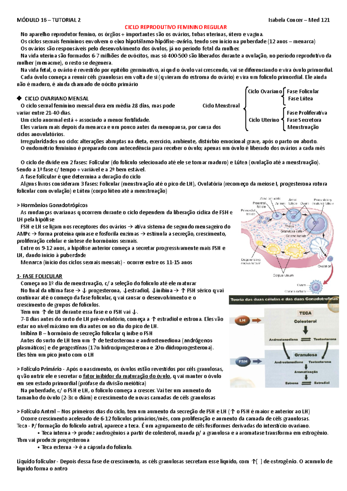 M dulo 16 - Tutorial 2 - RESUMOS DOS TUTORIAIS DO MÓDULOS 16 DE MEDICINA - 16 TUTORIAL 2 Isabela ...