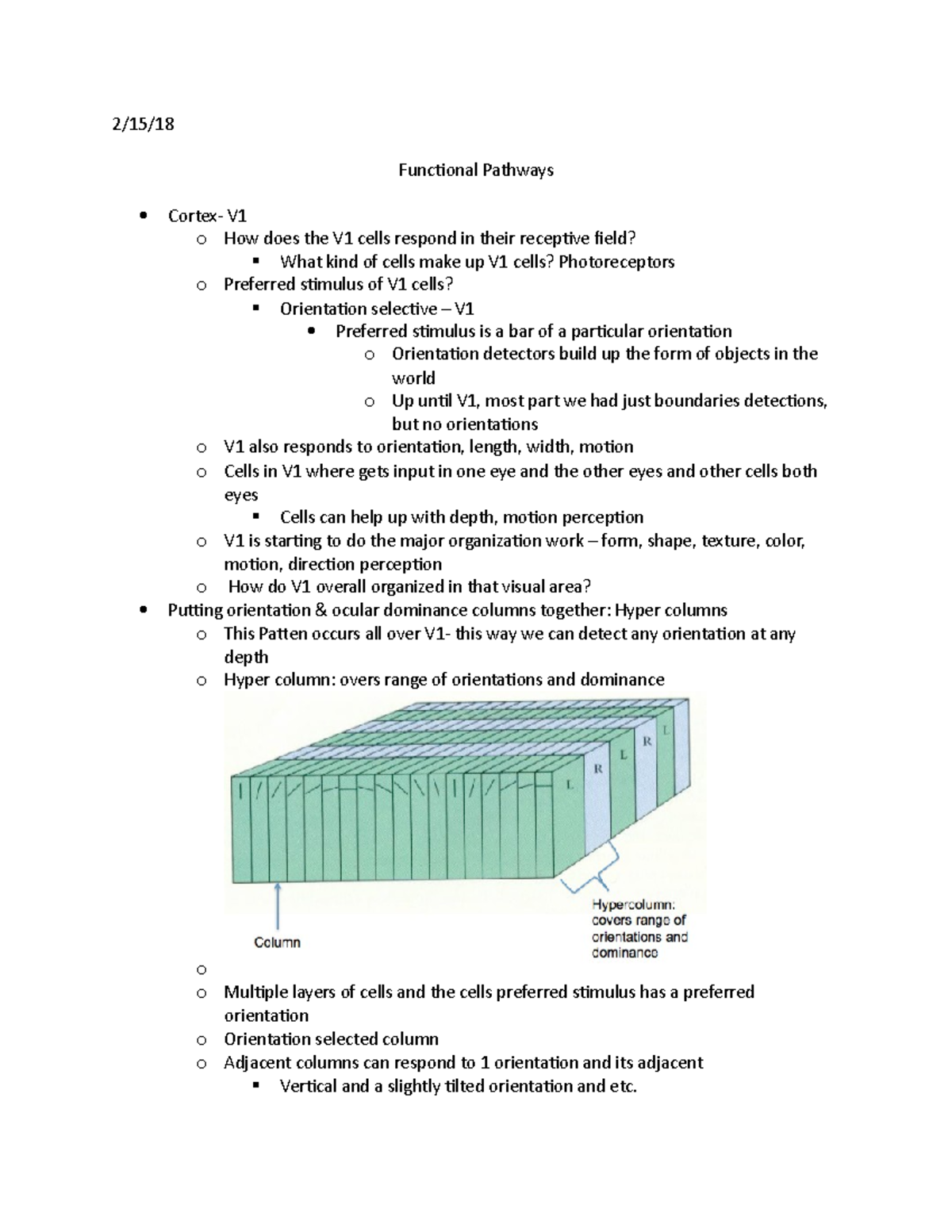 Functional Pathways - 2/15/18 Functional Pathways Cortex- V1 o How does ...