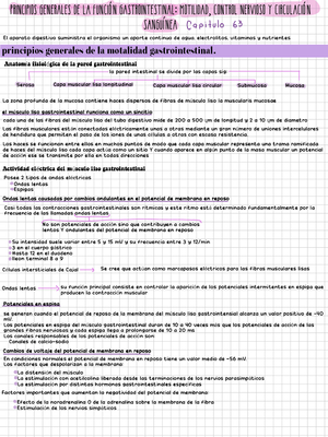 Cap 14 guyton - Resumen - Fisiologia - Studocu