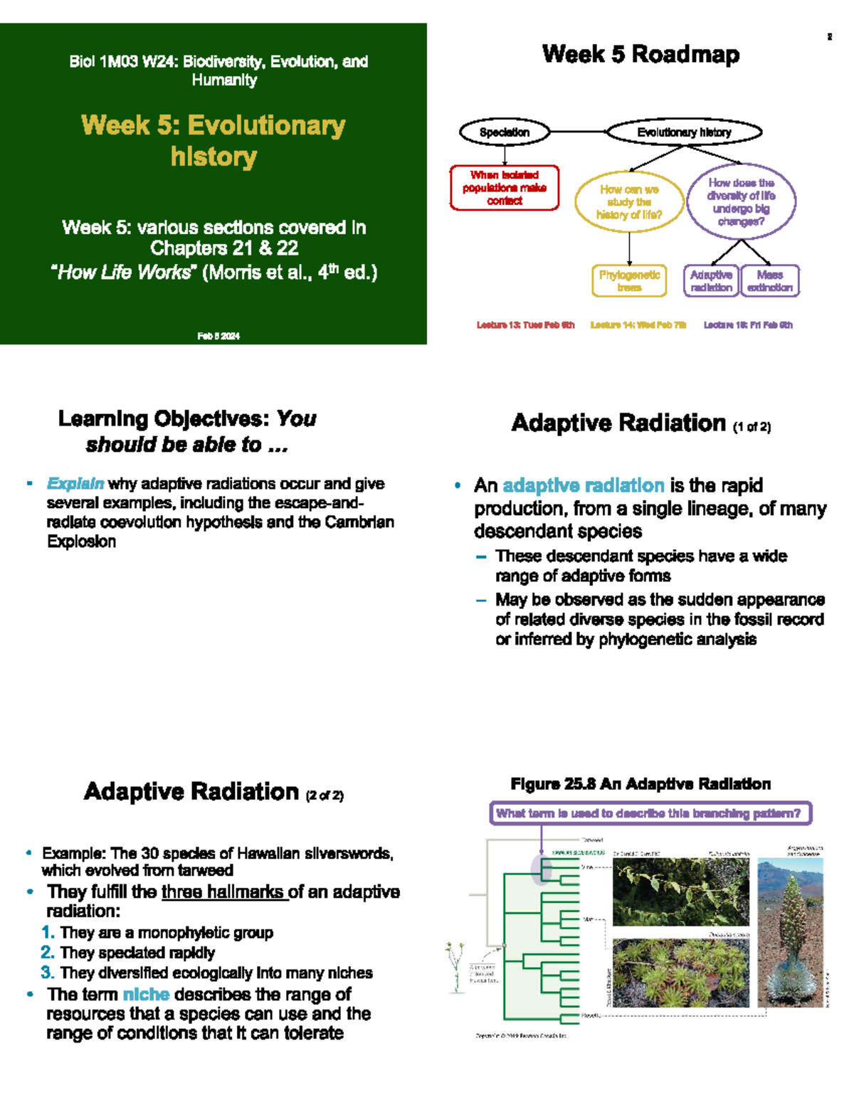 Lec 16 - help with material - bio 1m03 - Studocu