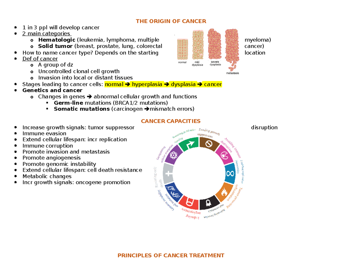 Cancer Summary - THE ORIGIN OF CANCER 1 in 3 ppl will develop cancer 2 ...