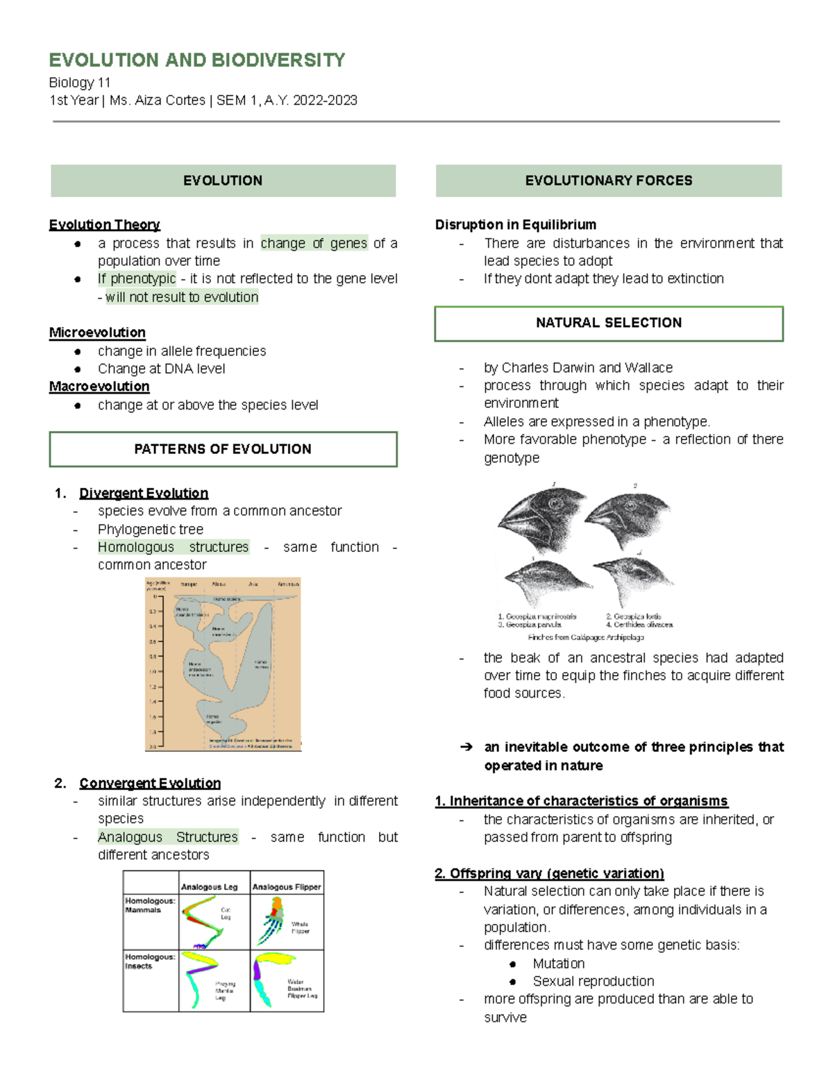 Evolution AND Biodiversity - EVOLUTION AND BIODIVERSITY Biology 11 1st ...