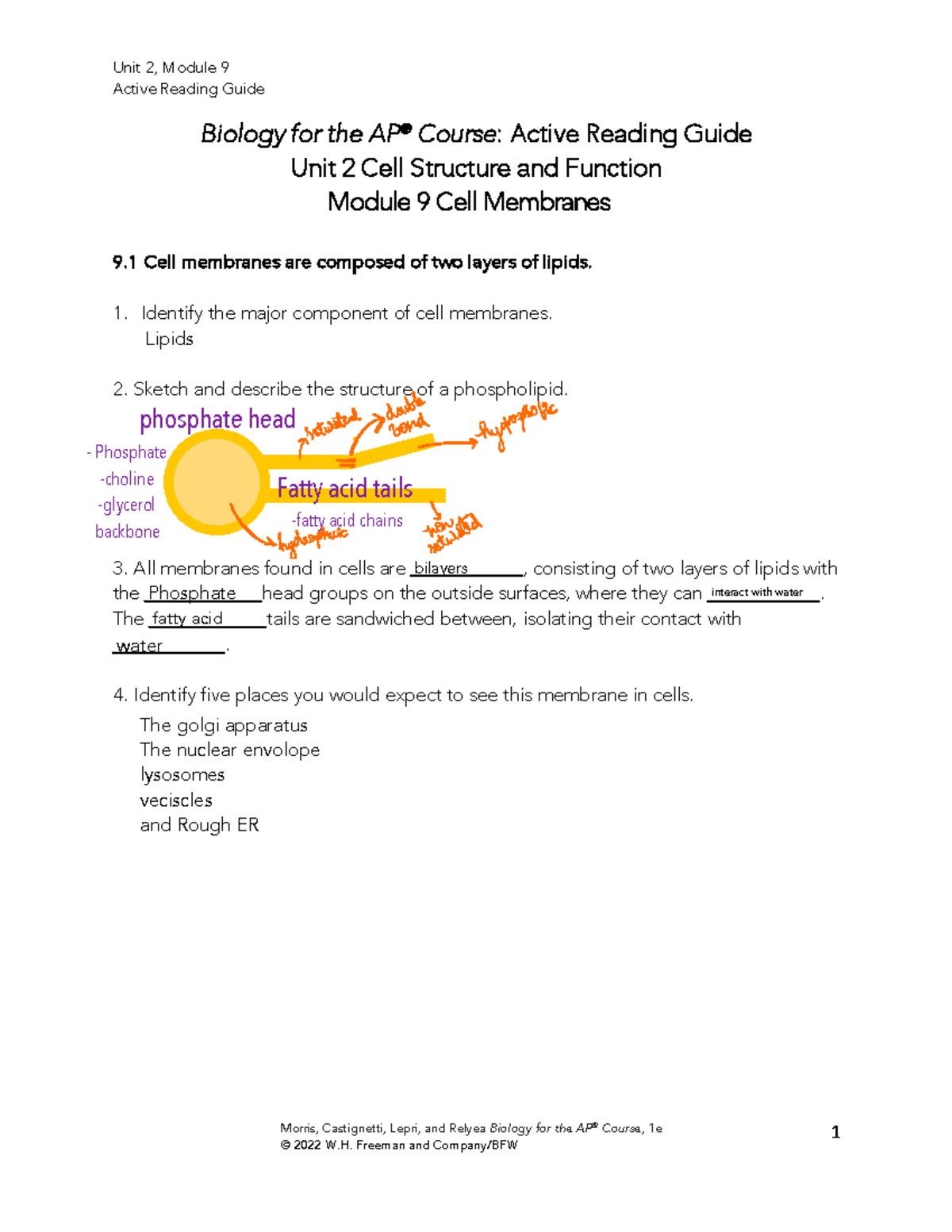 Apmorris 1e 09 activereadingguide student - Active Reading Guide 1 ...