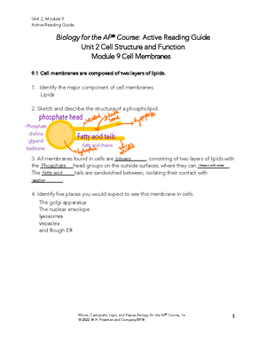 Apmorris 1e 10 activereadingguide student - Active Reading Guide 1 ...