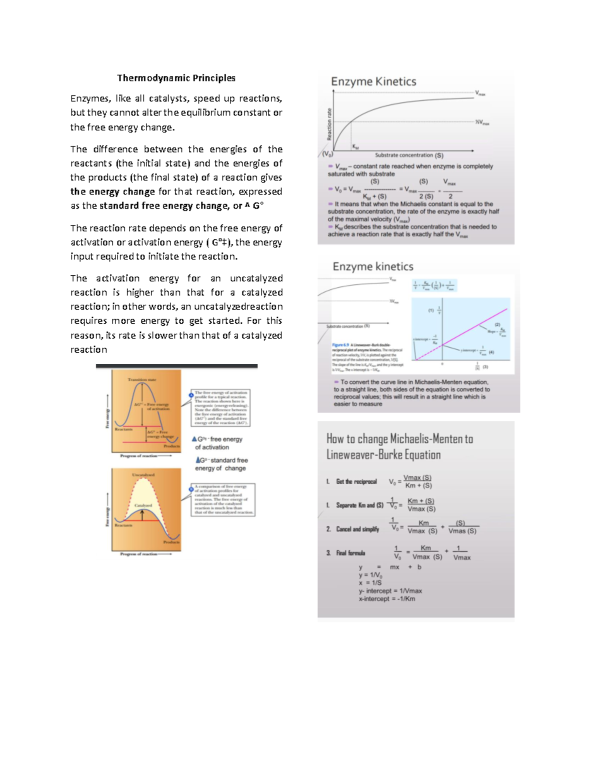 Enzymes 2 - LEC NOTES - Thermodynamic Principles Enzymes, like all ...