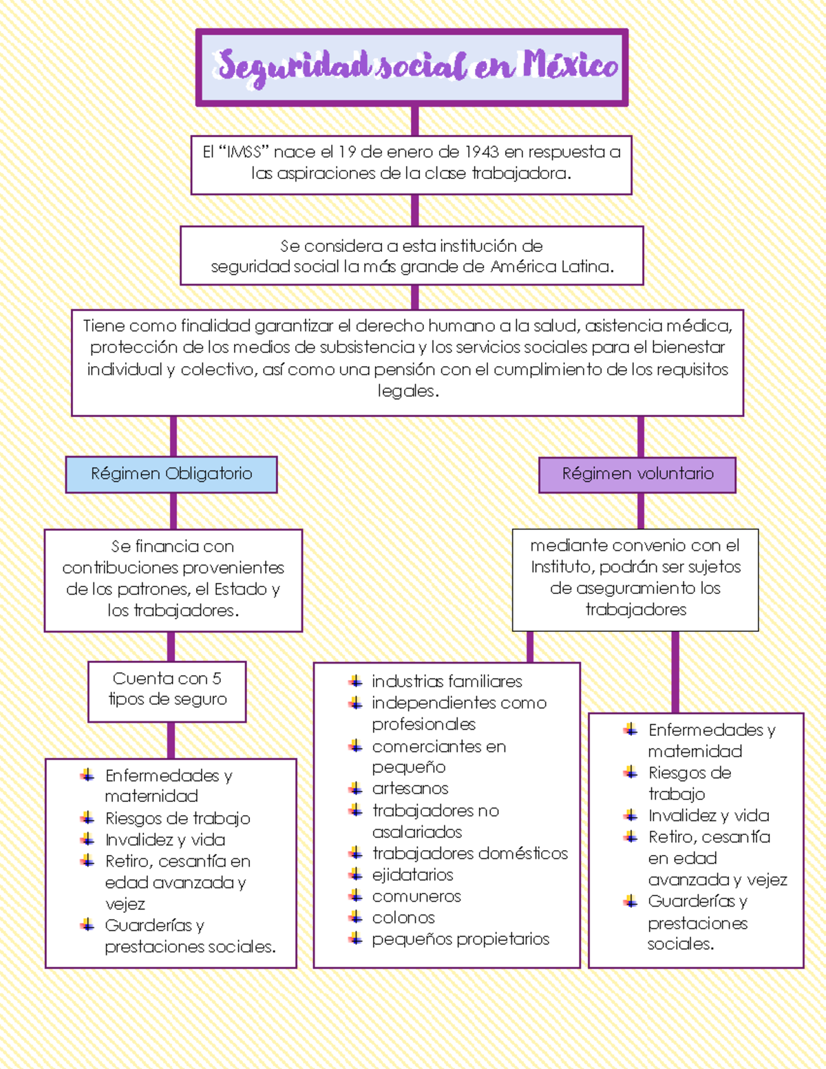 Mapa conceptual - Jajshjalkfj - SSeegurguridadidad soci socialal eenn ...