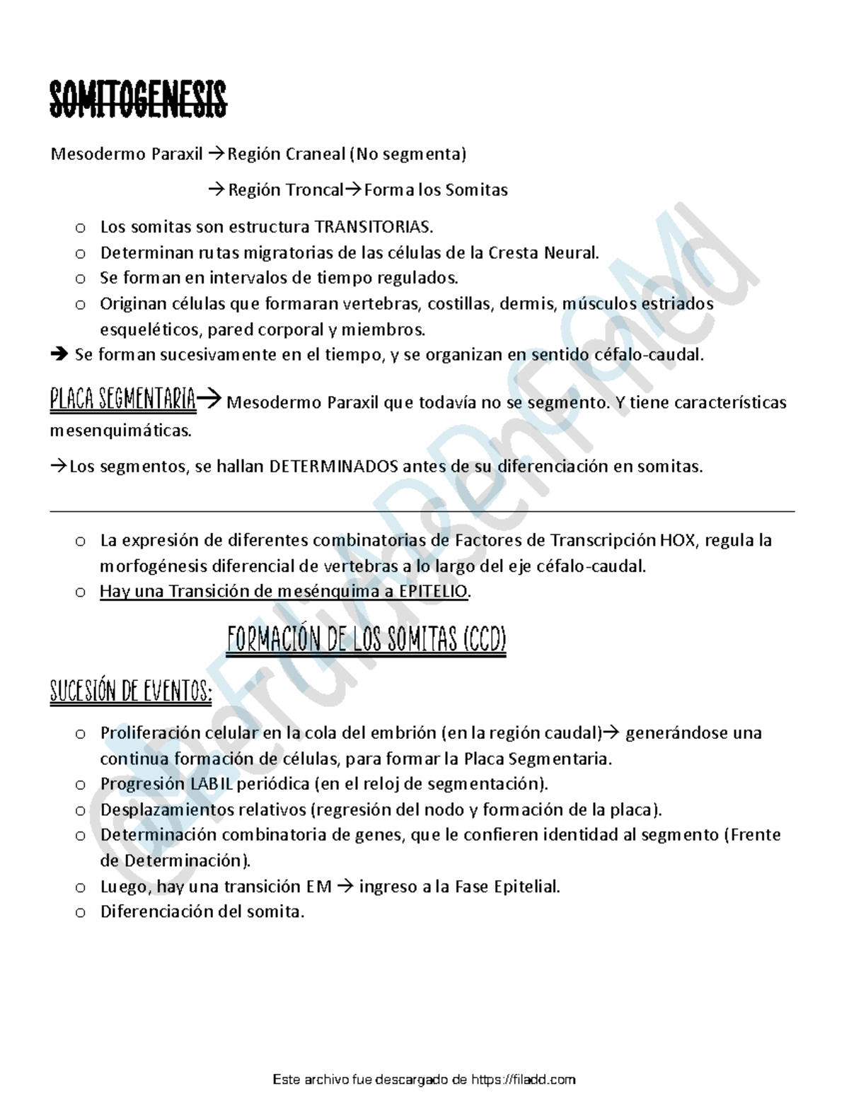 5 Somitogenesis - embriologia - Somitogenesis Mesodermo Paraxil →Región ...