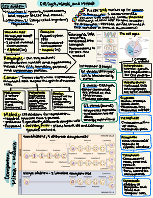 Bio-102 Exam 4 Cheat Sheet - - Studocu