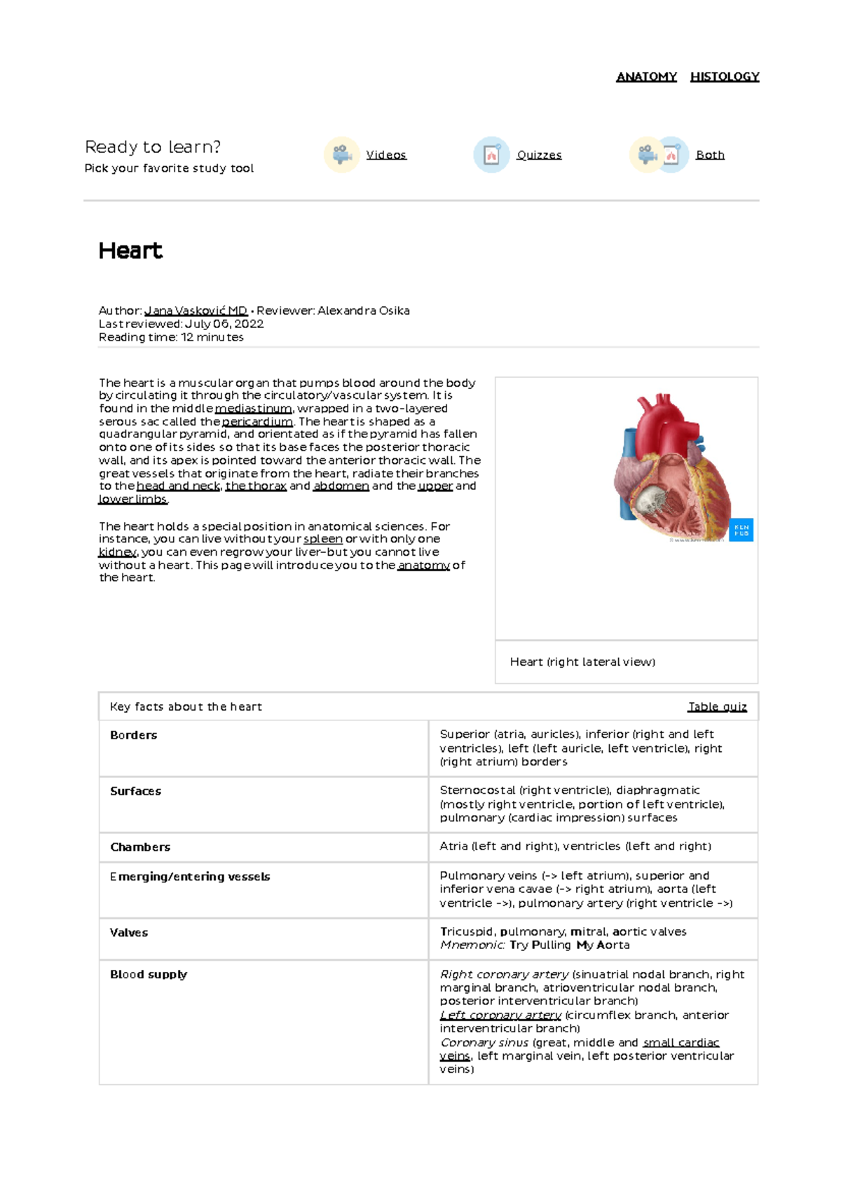 Heart anatomy Structure, valves, coronary vessels Kenhub - Heart Author ...