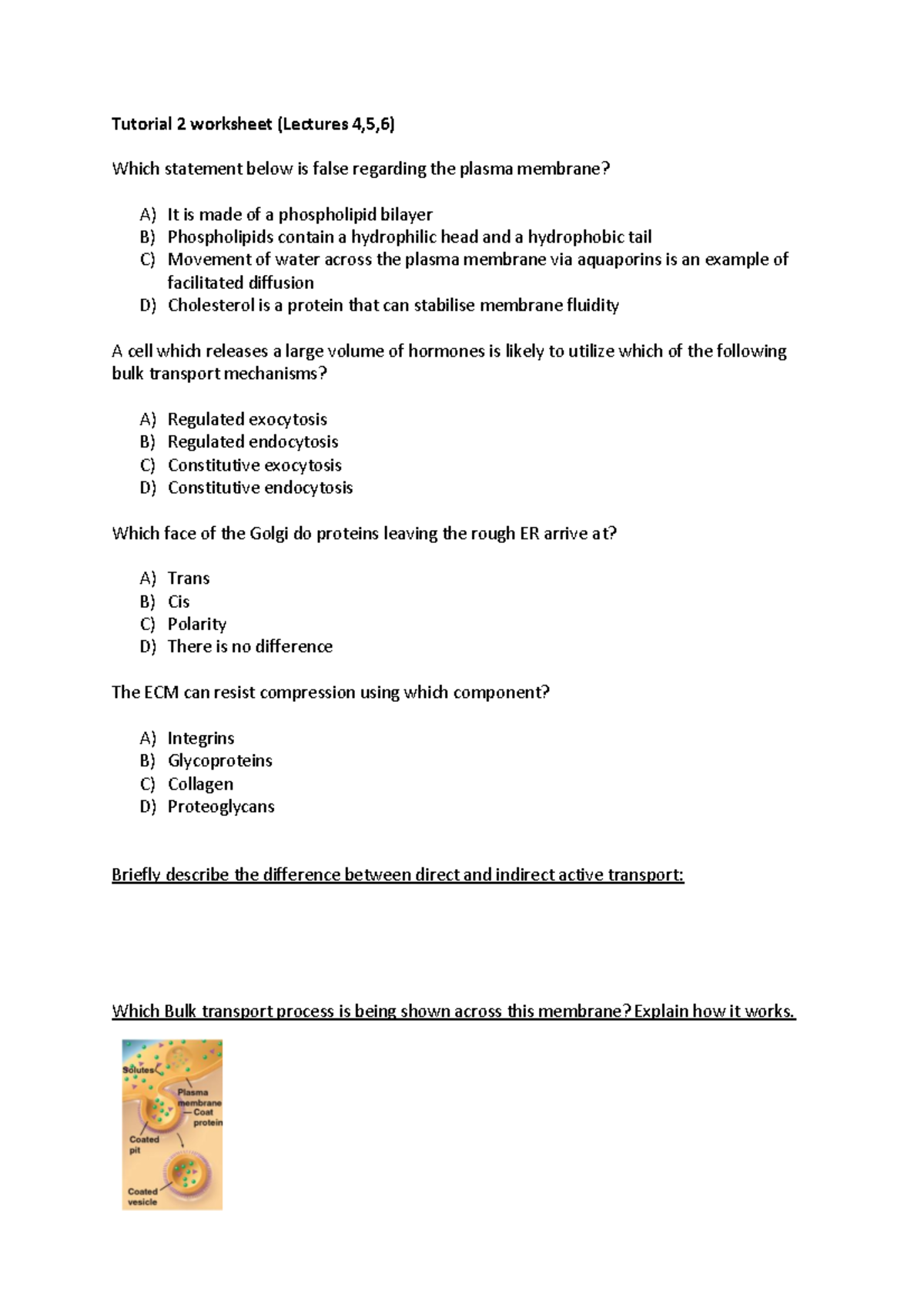 Worksheet Plasma membranes and cellular junctions - Tutorial 2 ...