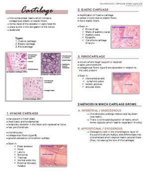 Histology - (EYE AND EAR - Special Sense Organs) - Information about ...
