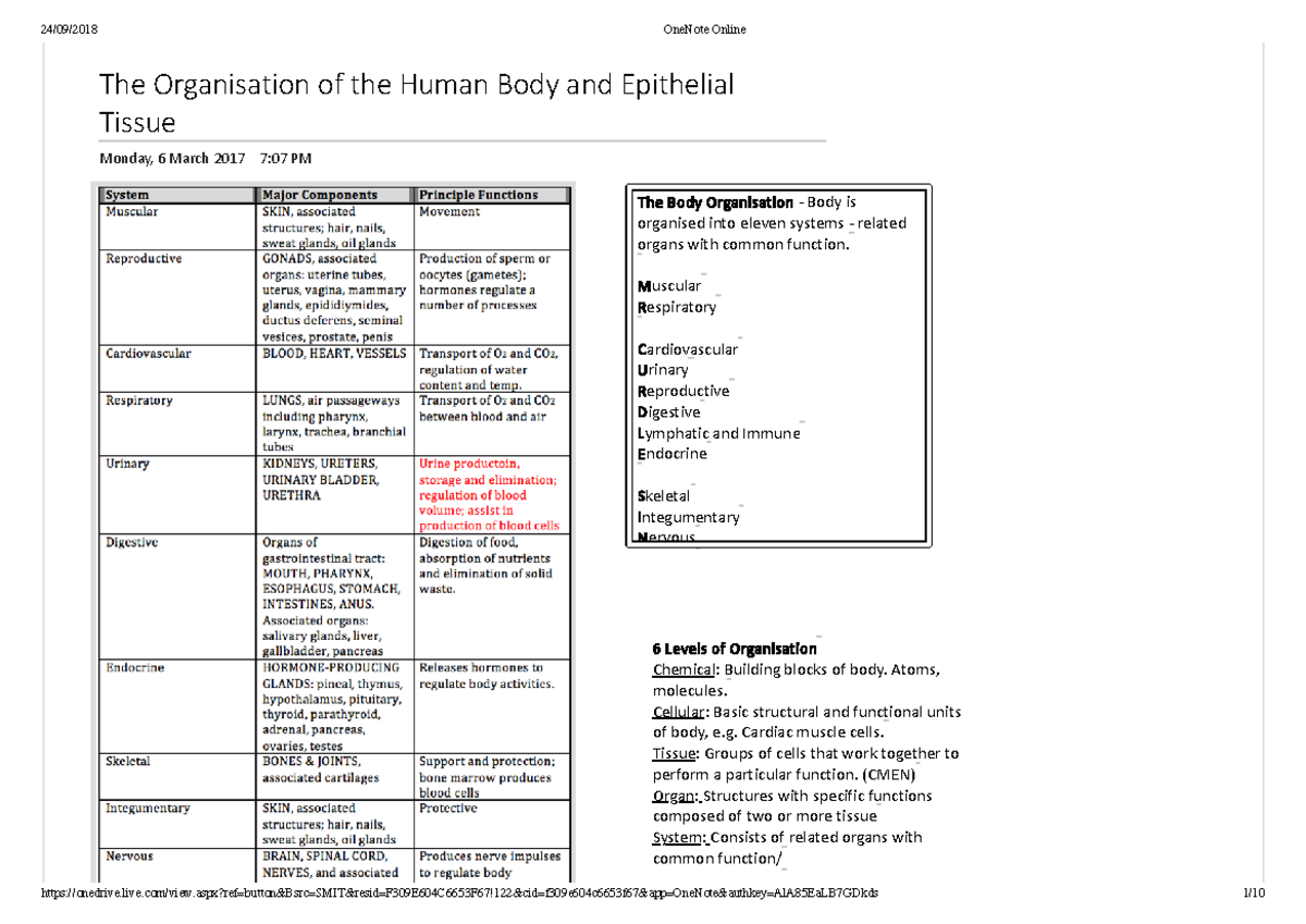 Lecture 1 Animal - 24/09/2018 OneNote Online The Organisation of the ...