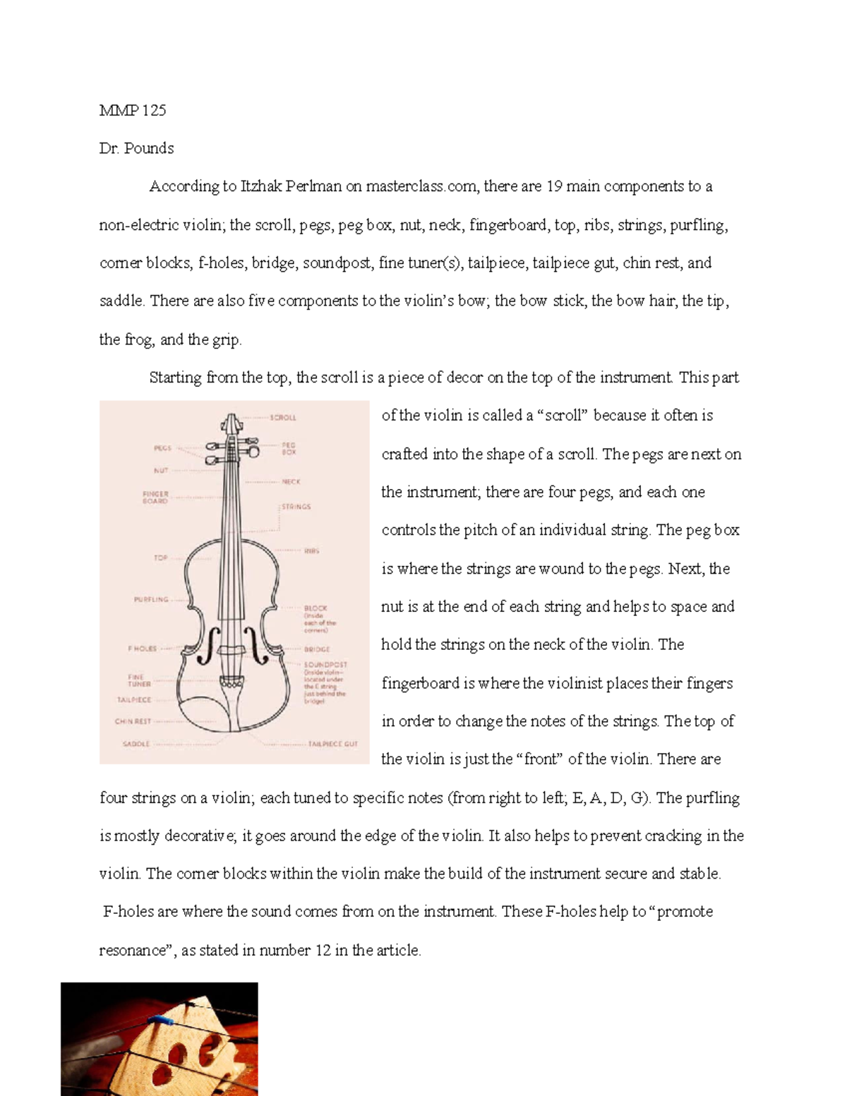 Instrument Report - Violin - MMP 125 Dr. Pounds According to Itzhak ...