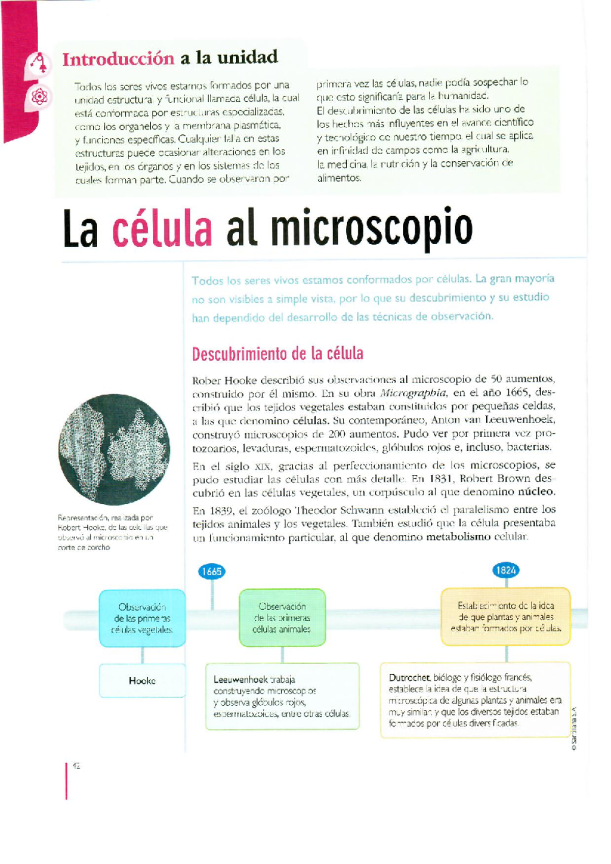 13 - La célula al microscopio - Introducción a la unidad Todos los ...