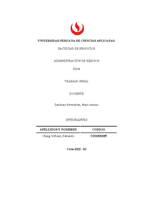 Trabajo Final Riesgos - Brandon Gallardo - Universidad Peruana de ...