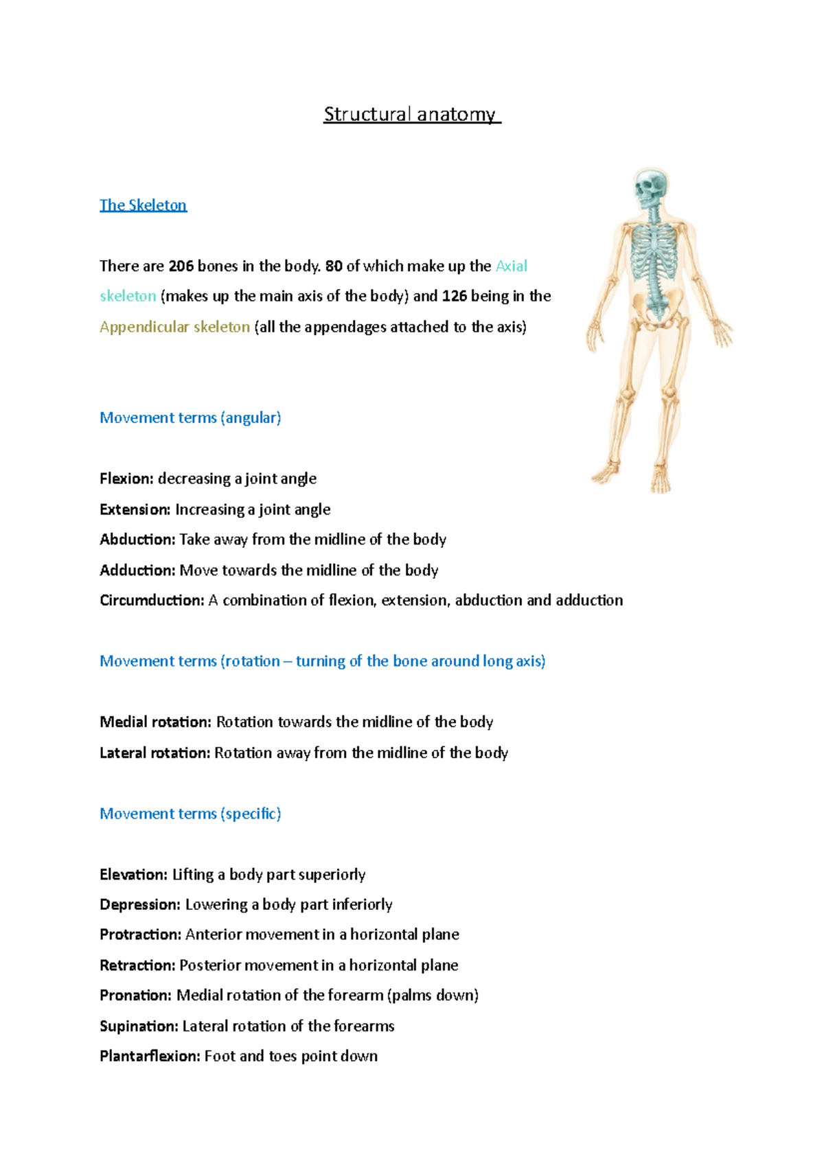 Structural anatomy stage 1 quiz notes - 092511 - Studocu