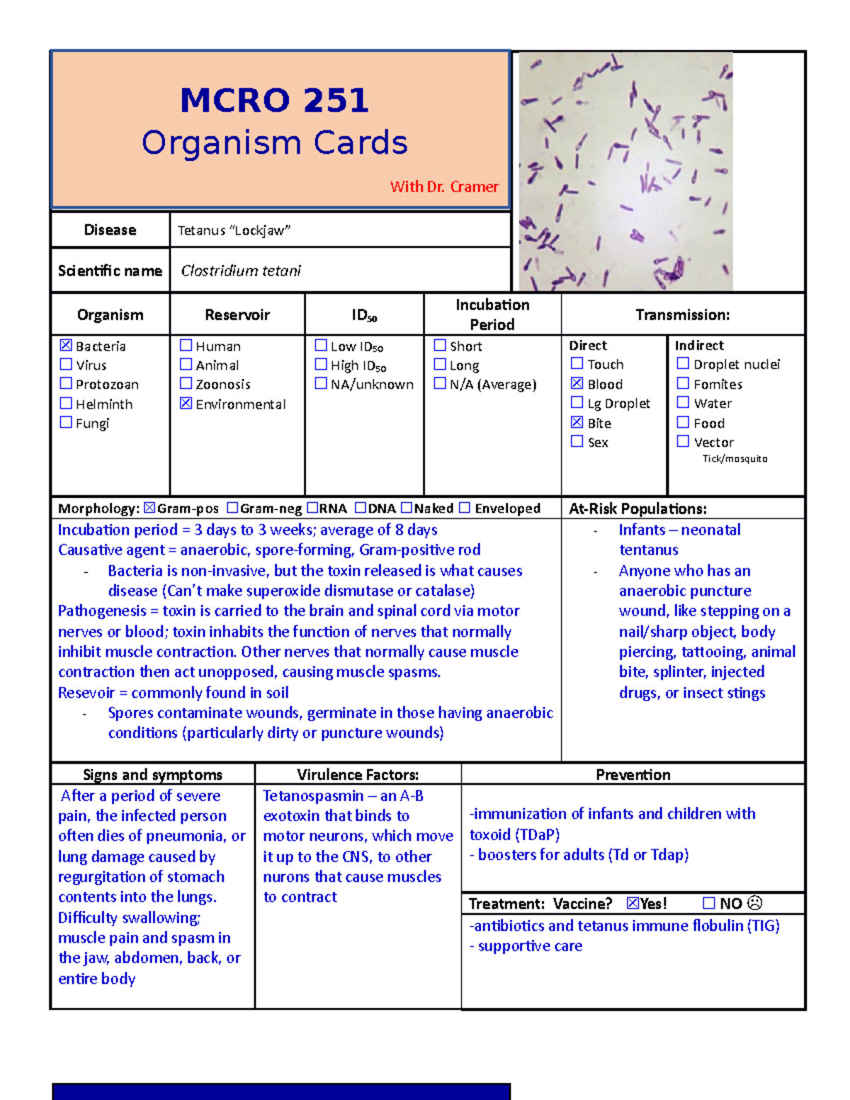 OC - Clostridium tetani - Disease Tetanus “Lockjaw” Scientific name ...