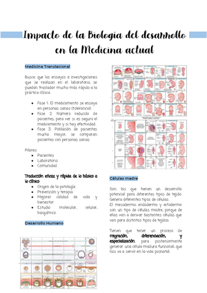Ciclo Celular - TIPOS DE CÉLULAS Lábiles: Constantemente se renuevan ...