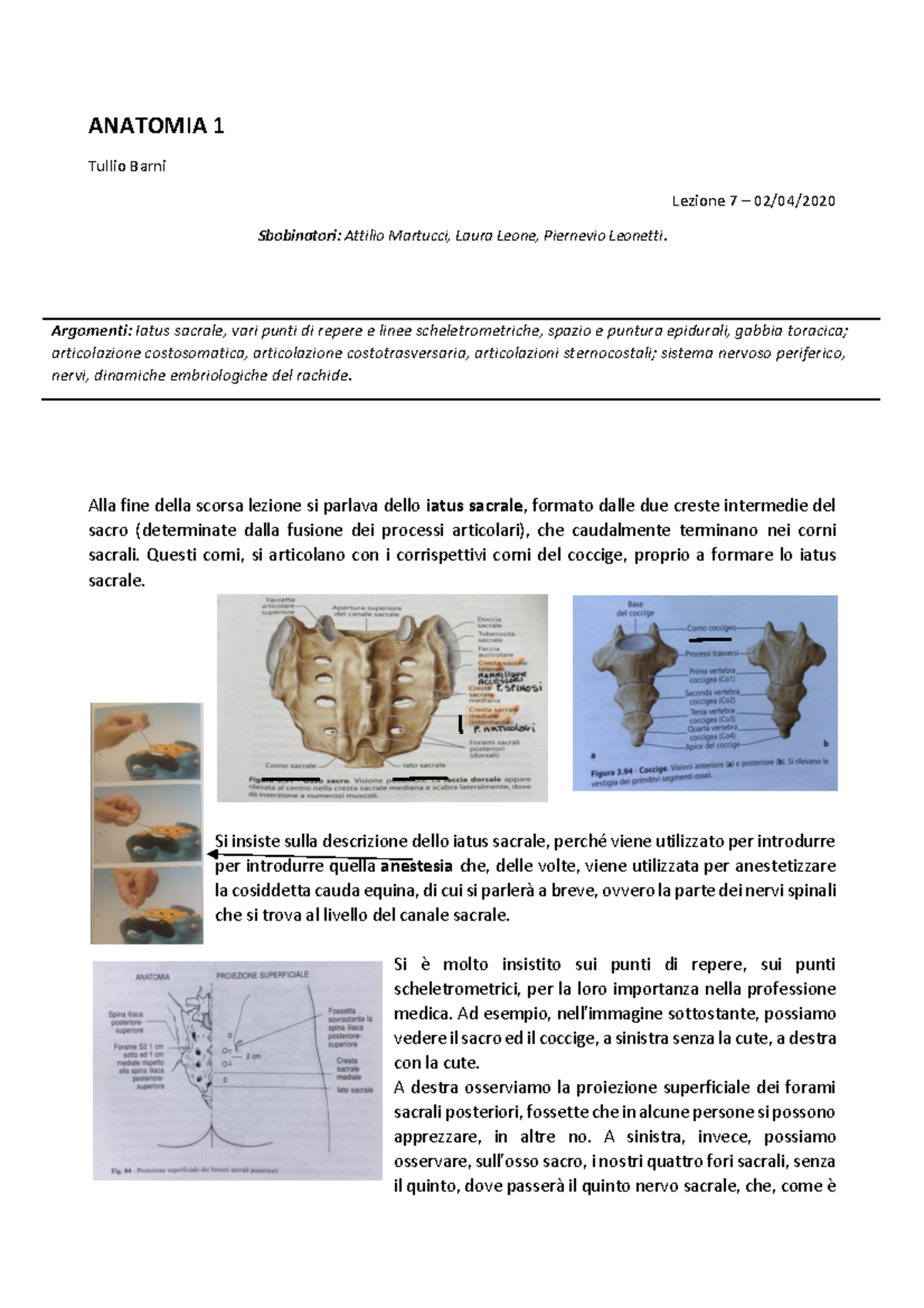 Lezione 7 - Anatomia - Barni - Warning: TT: undefined function: 32 Warning: TT: undefined ...