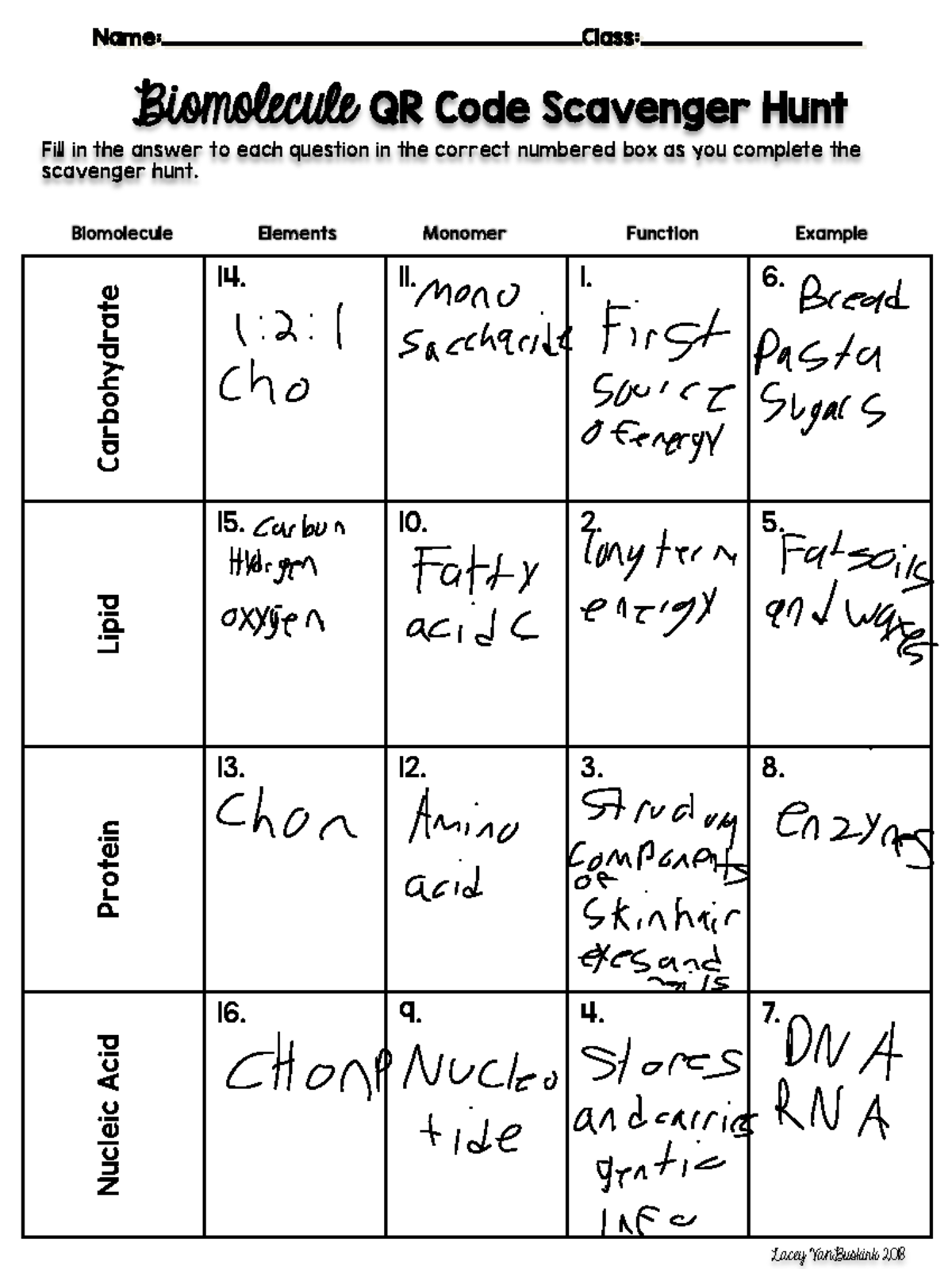 Polymer+Scavenger Hunt - Biomolecule Elements Monomer Function Example ...
