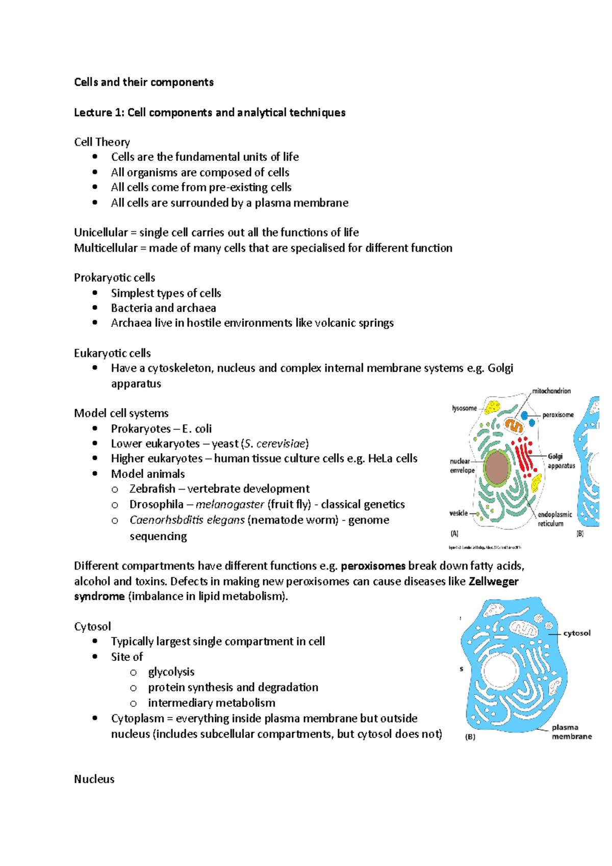Lecture 1-3 - Cells and their components Lecture 1: Cell components and ...