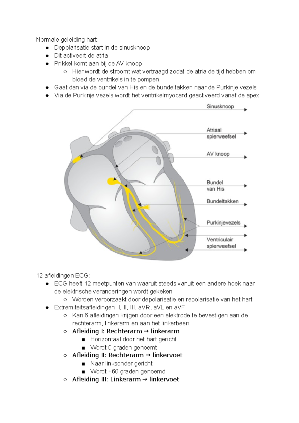 Theorie ECG beoordelen - Normale geleiding hart: Depolarisatie start in ...