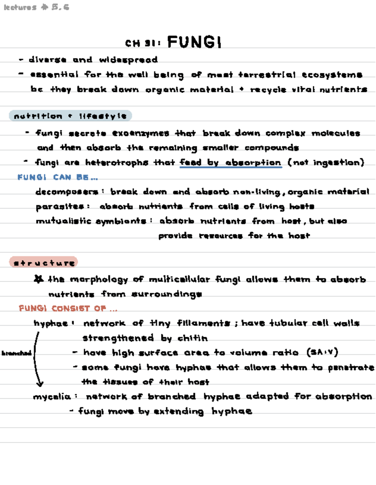 Fungi - lectures # 5 CH 31 : FUNGI diverse and widespread essential for ...