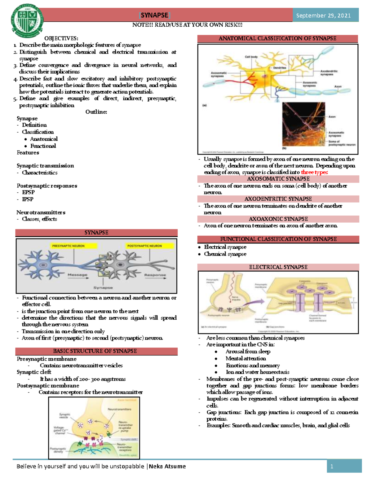 Synapse lecture 2 - NOTE!!! READ/USE AT YOUR OWN RISK!!! OBJECTIVES: Describe the main ...