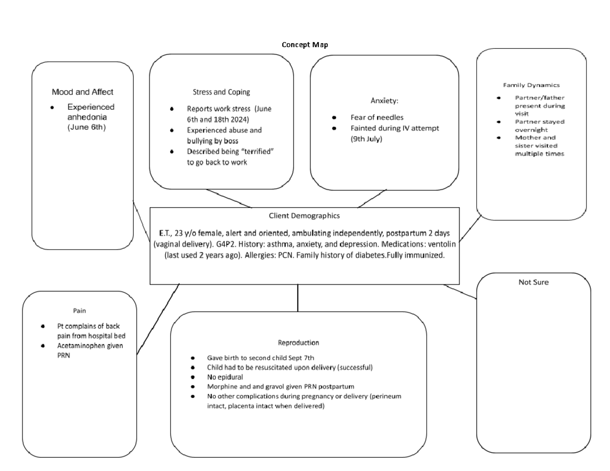 Concept Map Blank Diagram - Concept Map Family Dynamics Mood and Affect ...