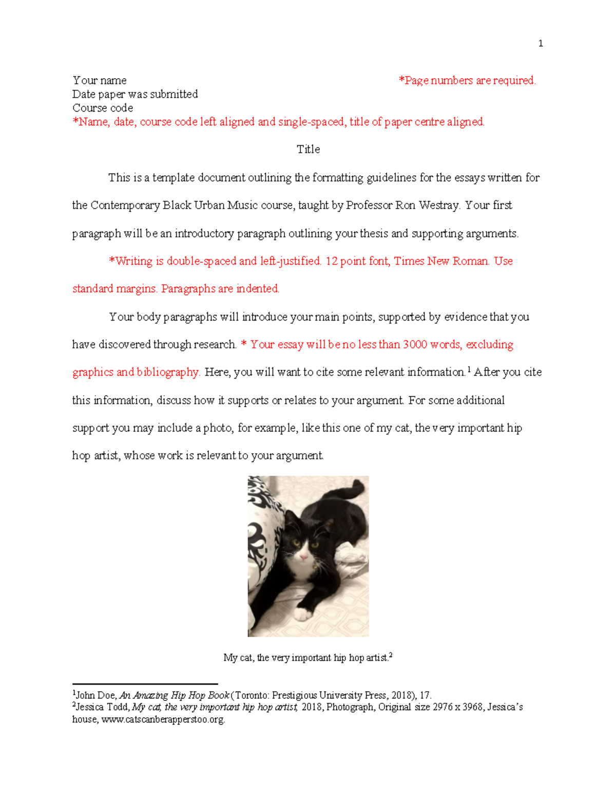 2520 Essay Formatting Guidelines 2021 - 1 Your name *Page numbers are ...