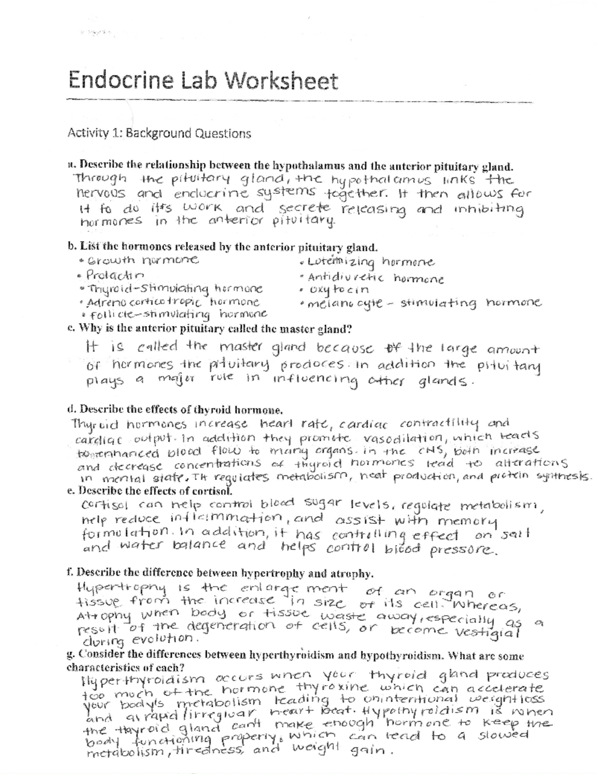 Endocrine lab - PYSO 1 - Studocu