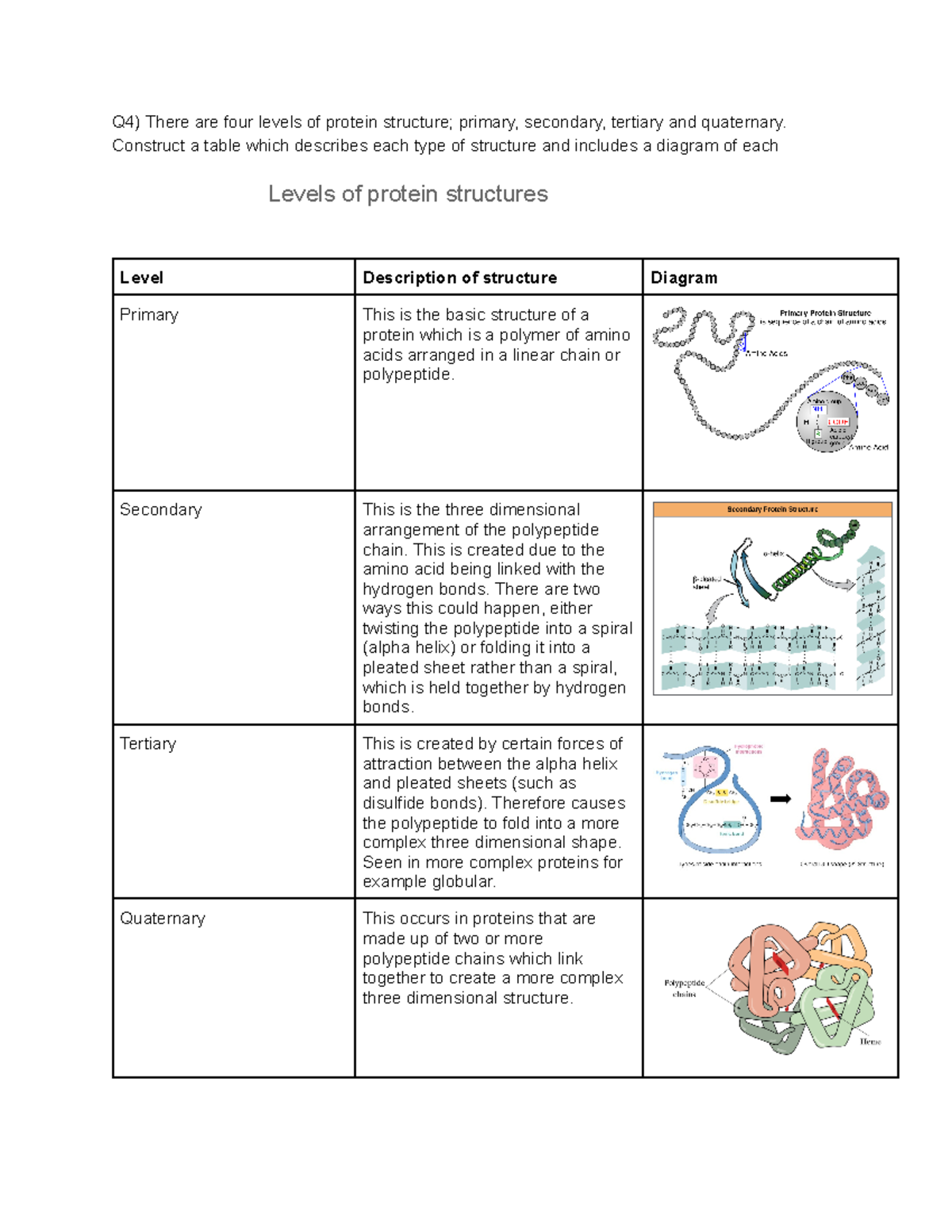 Protein Structure P, S, T, Q - Q4) There are four levels of protein ...
