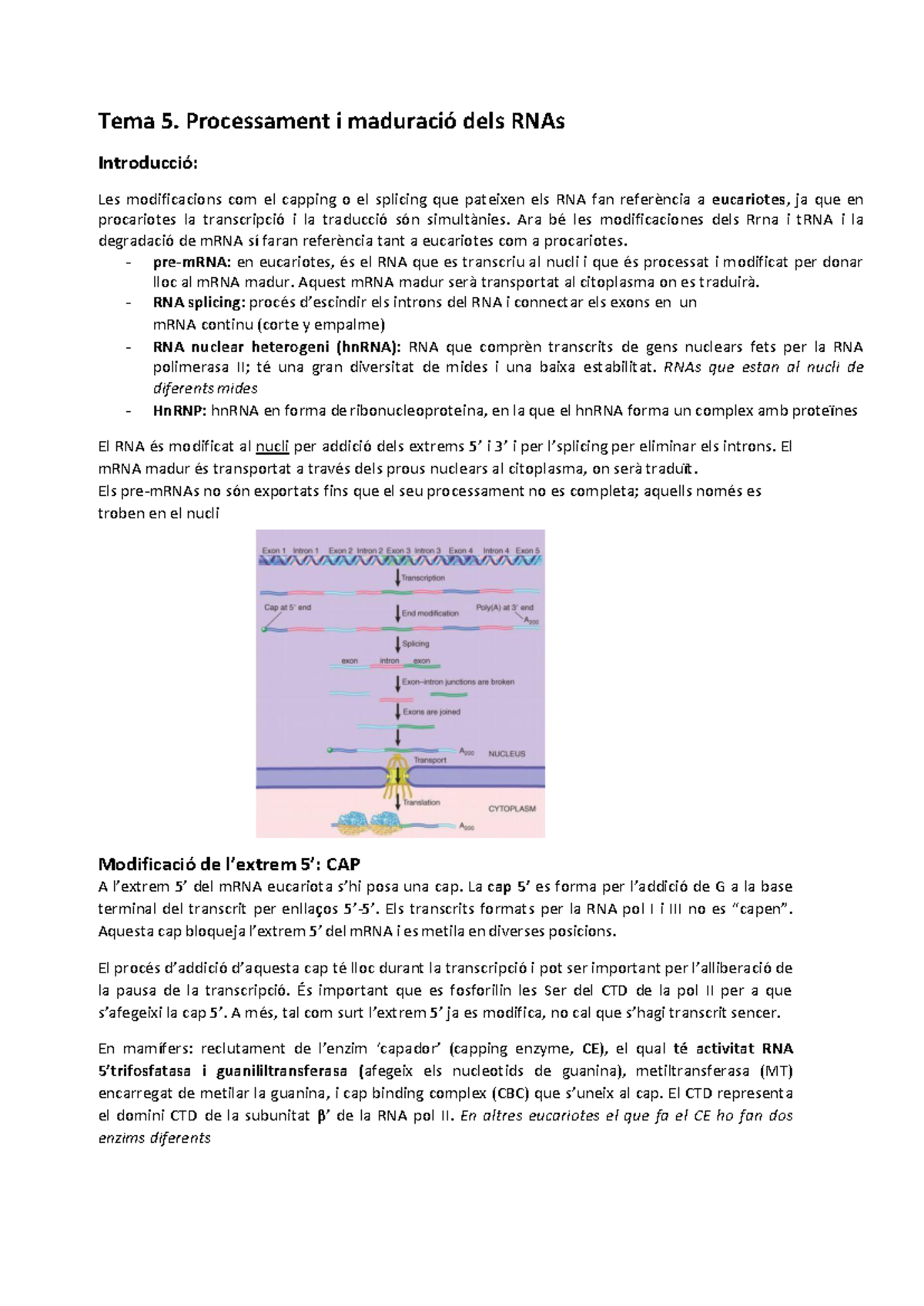 Tema 5 - processament i maduració de RNA - Warning: TT: undefined function: 32 Warning: TT ...