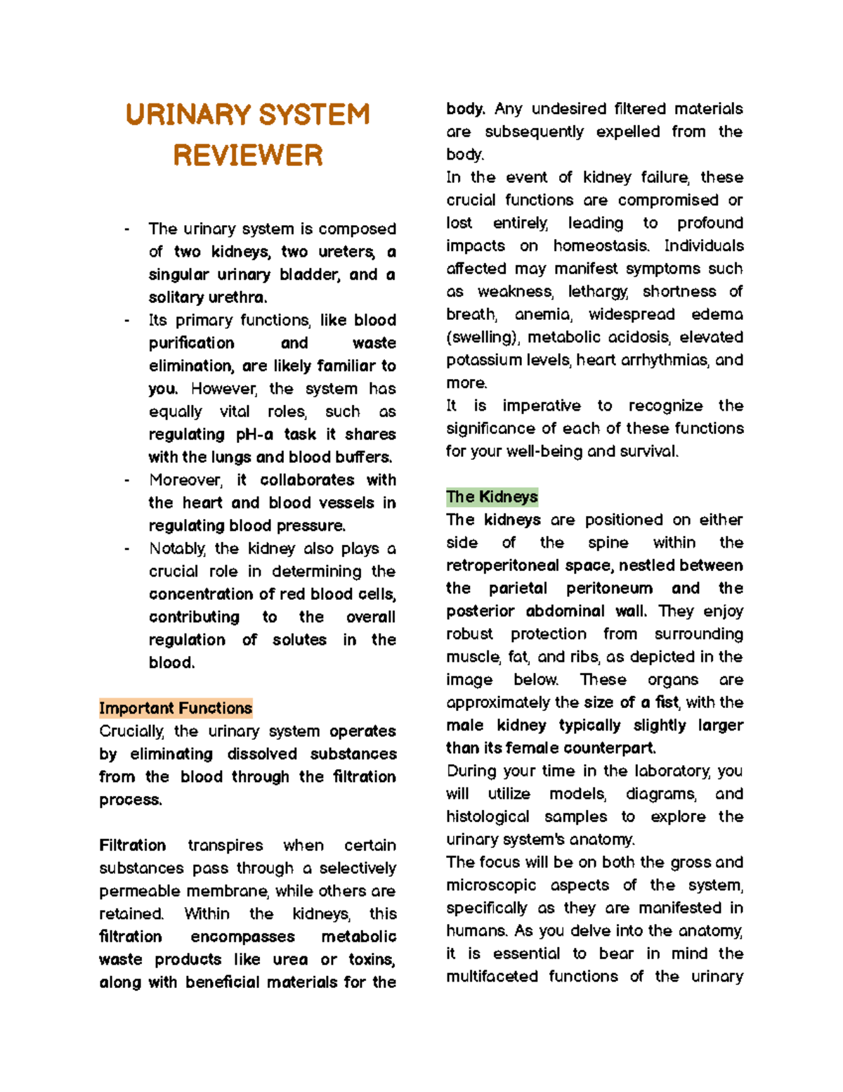 Urinary- System- Reviewer - URINARY SYSTEM REVIEWER The urinary system ...