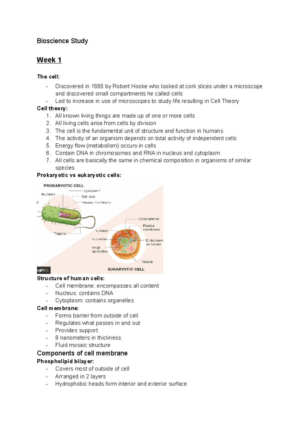 Human Bioscience Weeks 1-3 summary - Bioscience Study Week 1 The cell ...